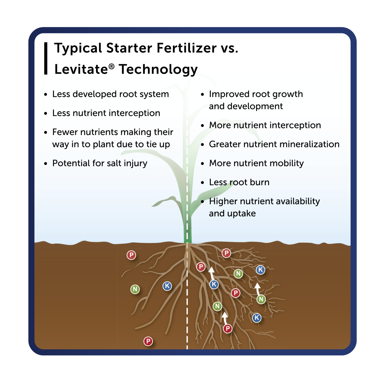 Phosphate Solutions | Loveland Products At Planting Solutions