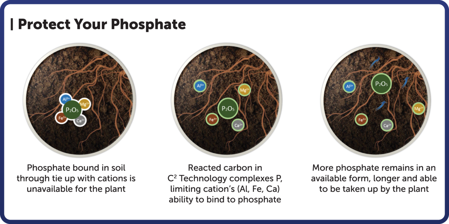 Phosphate Solutions | Loveland Products At Planting Solutions