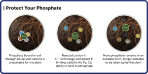Phosphate Solutions | Loveland Products At Planting Solutions